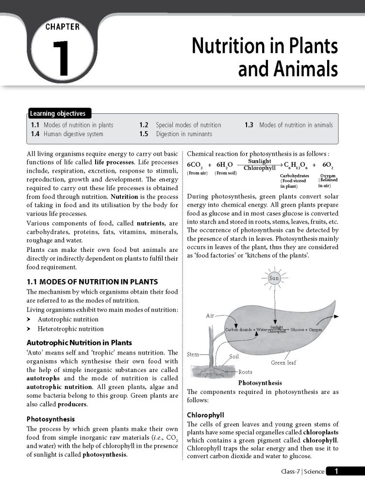 Olympiad Prep-Guide Science Class-7 – Schools
